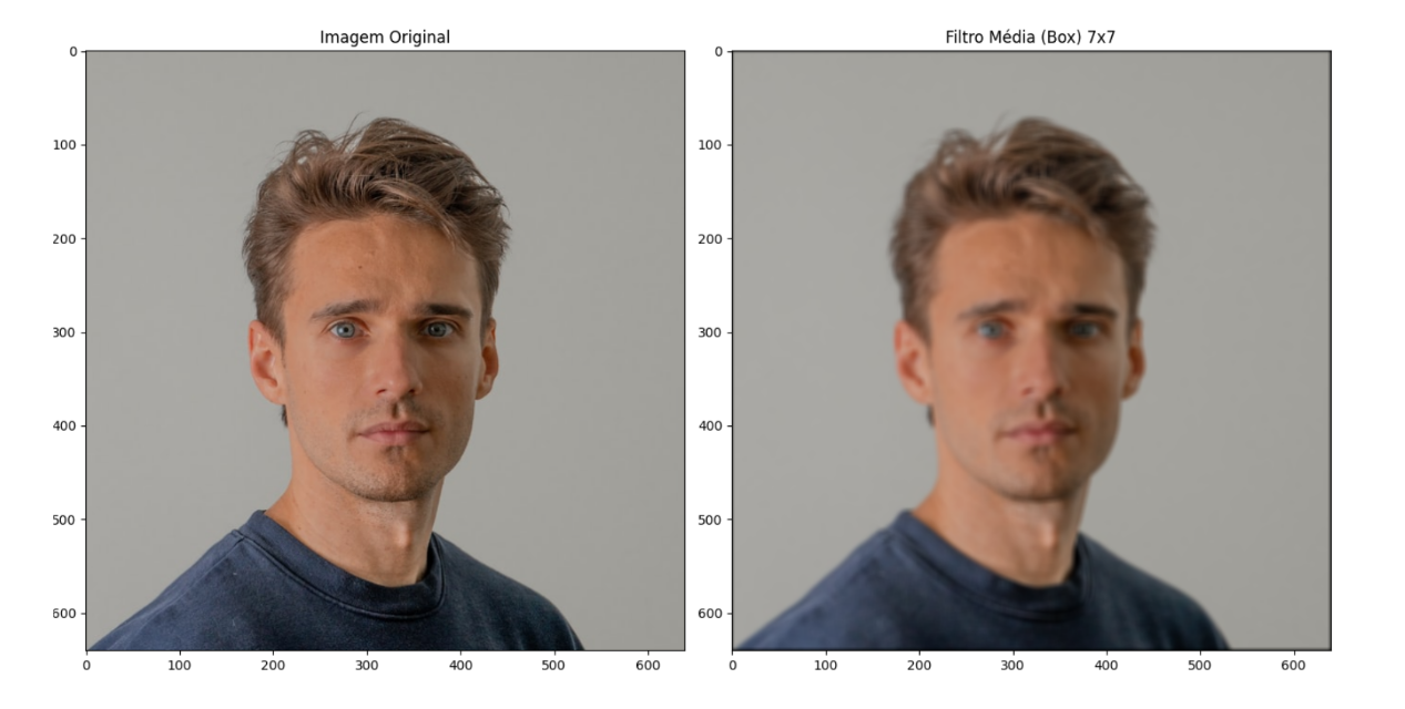 GitHub - EmmanuellaAlbuquerque/pdi-projects: Project Developed Under Digital Image Processing ...