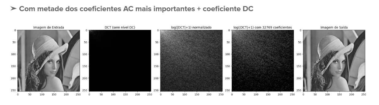 GitHub - EmmanuellaAlbuquerque/pdi-projects: Project Developed Under Digital Image Processing ...
