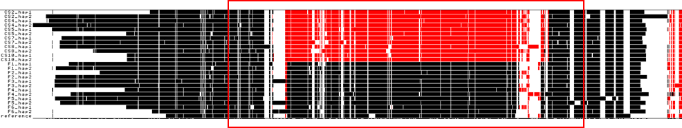 odgi extraction and · Issue #367 · pangenome/odgi · GitHub