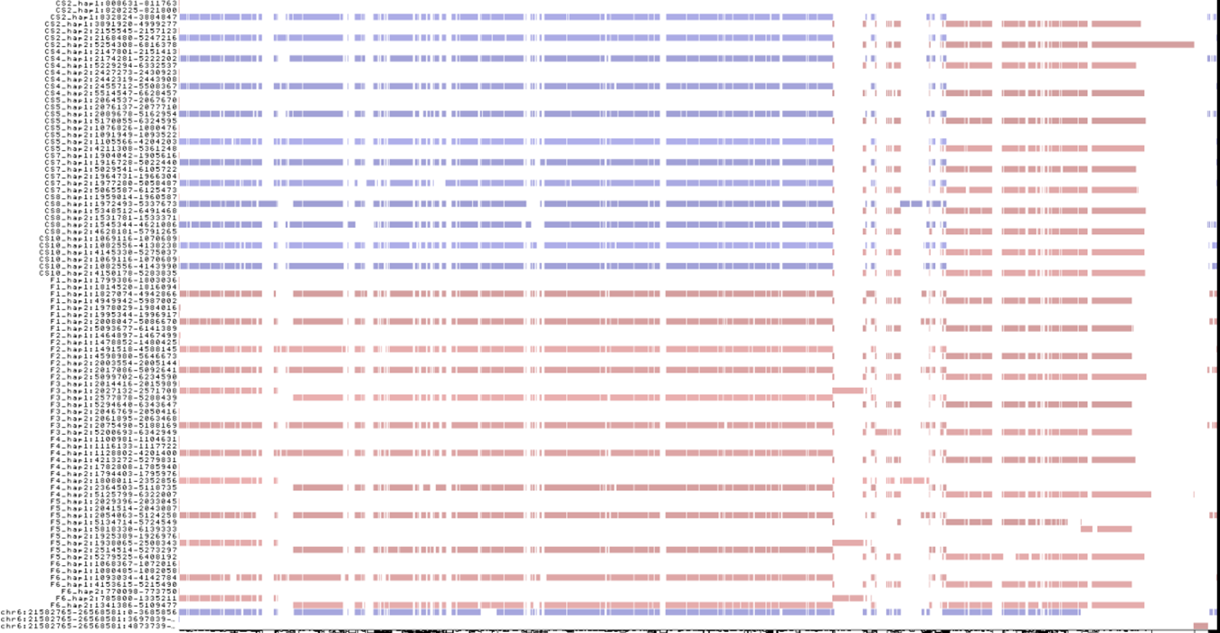 odgi extraction and · Issue #367 · pangenome/odgi · GitHub