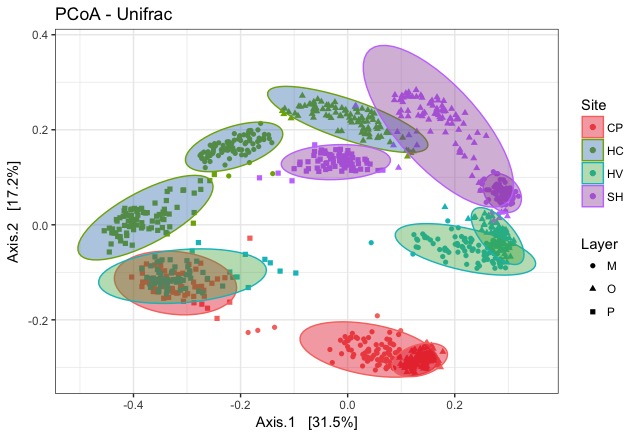 ordiellipse for ordinations · Issue #323 · joey711/phyloseq · GitHub