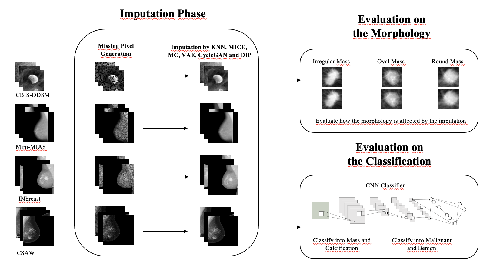 Github Joanacsantos Mammography Analysis Morphology