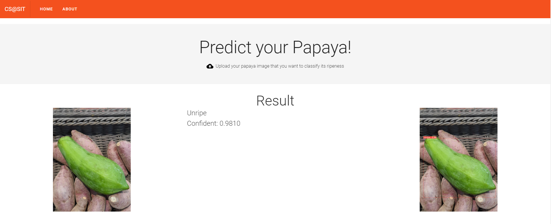 GitHub - thanatat-wong/csc340-papaya-ripeness: Papaya ripeness ...