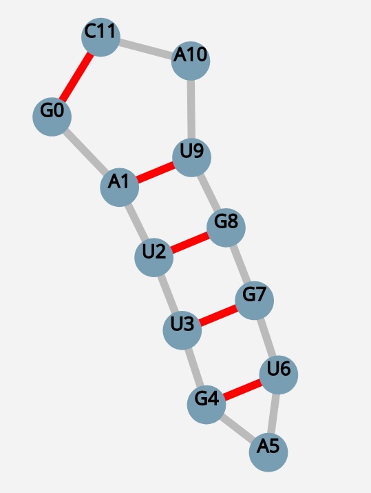 Render RNA Structure - UniTuebingen-BDVA/TeamprojektSoSe22 GitHub Wiki