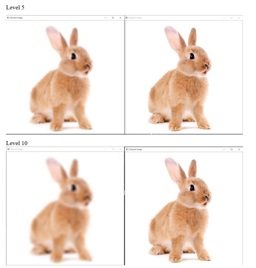 GitHub - alireza1325/MPI-image-blur: In this project we will be ...