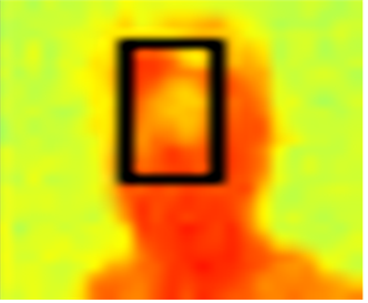 GitHub - NoruMushroom/Senier_project