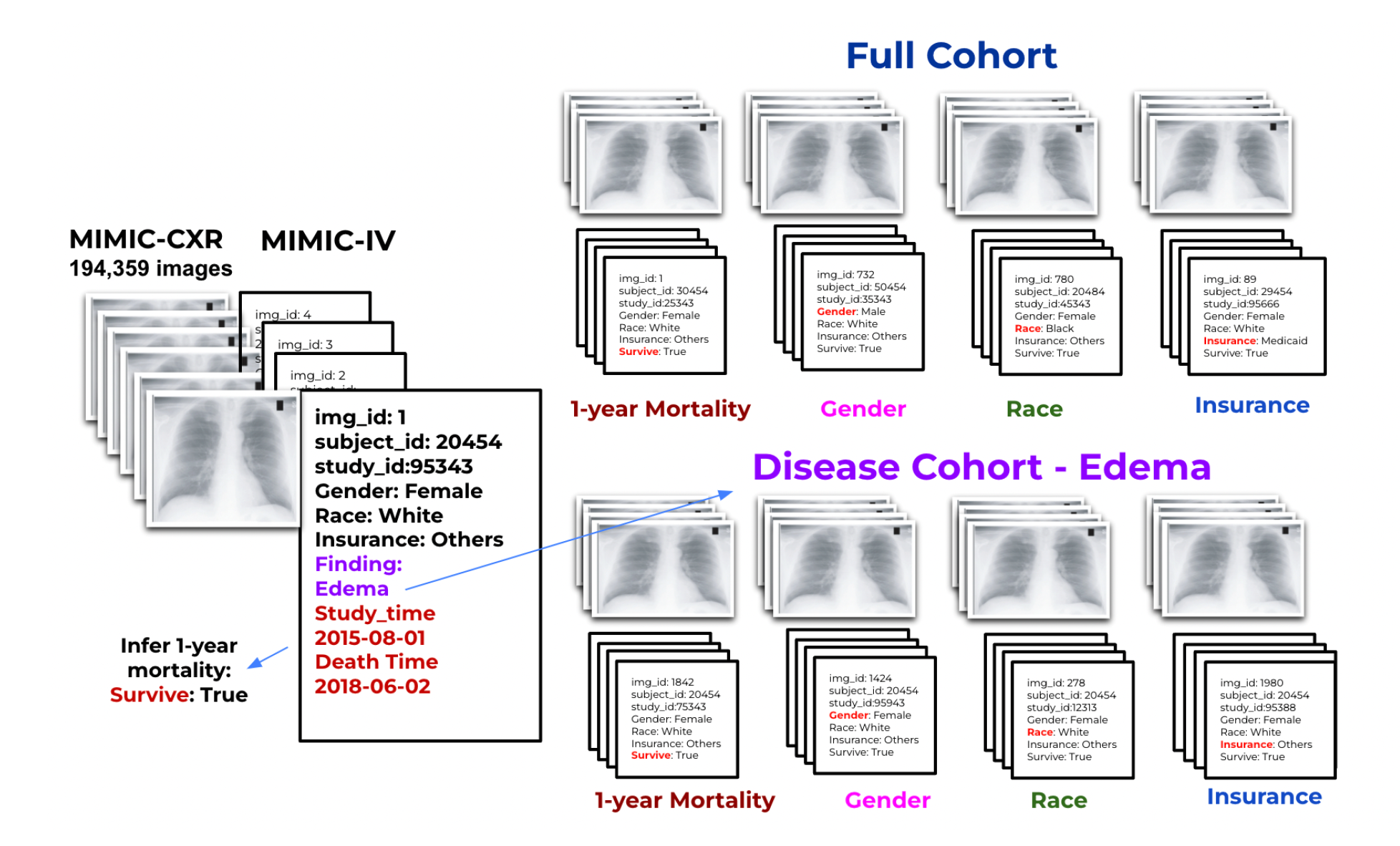 GitHub - Anthonyma0706/CXR_MIMIC_CV