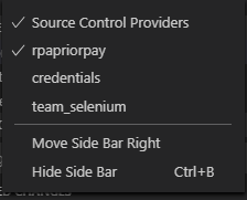 unable to show "Source Control Providers" with a single repo workspace · Issue #84627 ...