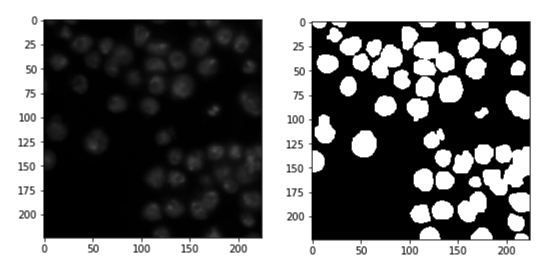 GitHub - rosikand/mini-cell-seg: A small, pre-processed dataset for ...