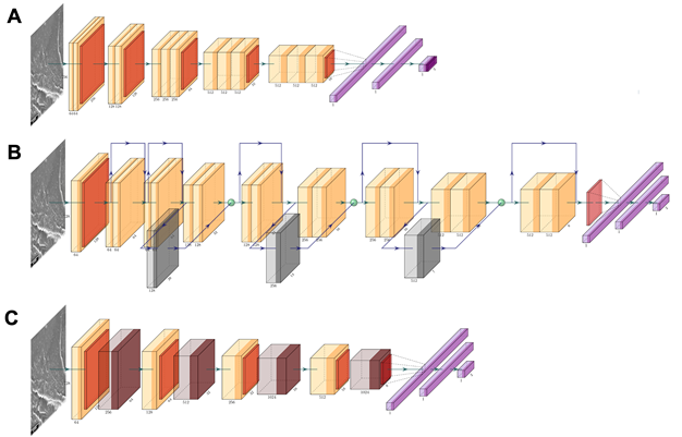 GitHub - Zhilong-Liang/Polymer-Miscibility-Image-Recognition