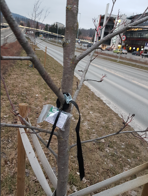 GitHub - BjornBirkelund/SSML