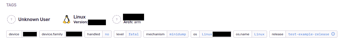 Release string can't have a forward slash · Issue #581 · getsentry/sentry-native · GitHub