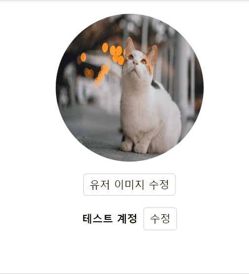 GitHub - Jii-Yeong/daily-routine: 오늘의 할 일을 확인할 수 있는 서비스