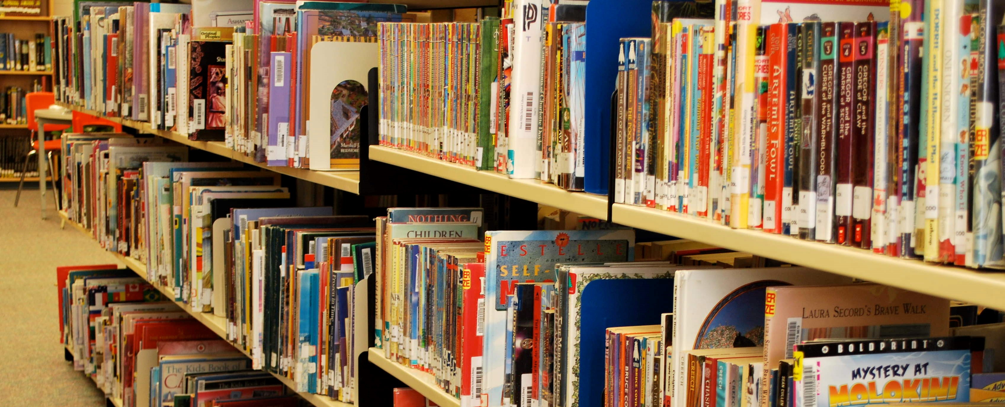 GitHub - joel-kalema/School-library: This project, I built a school library app.