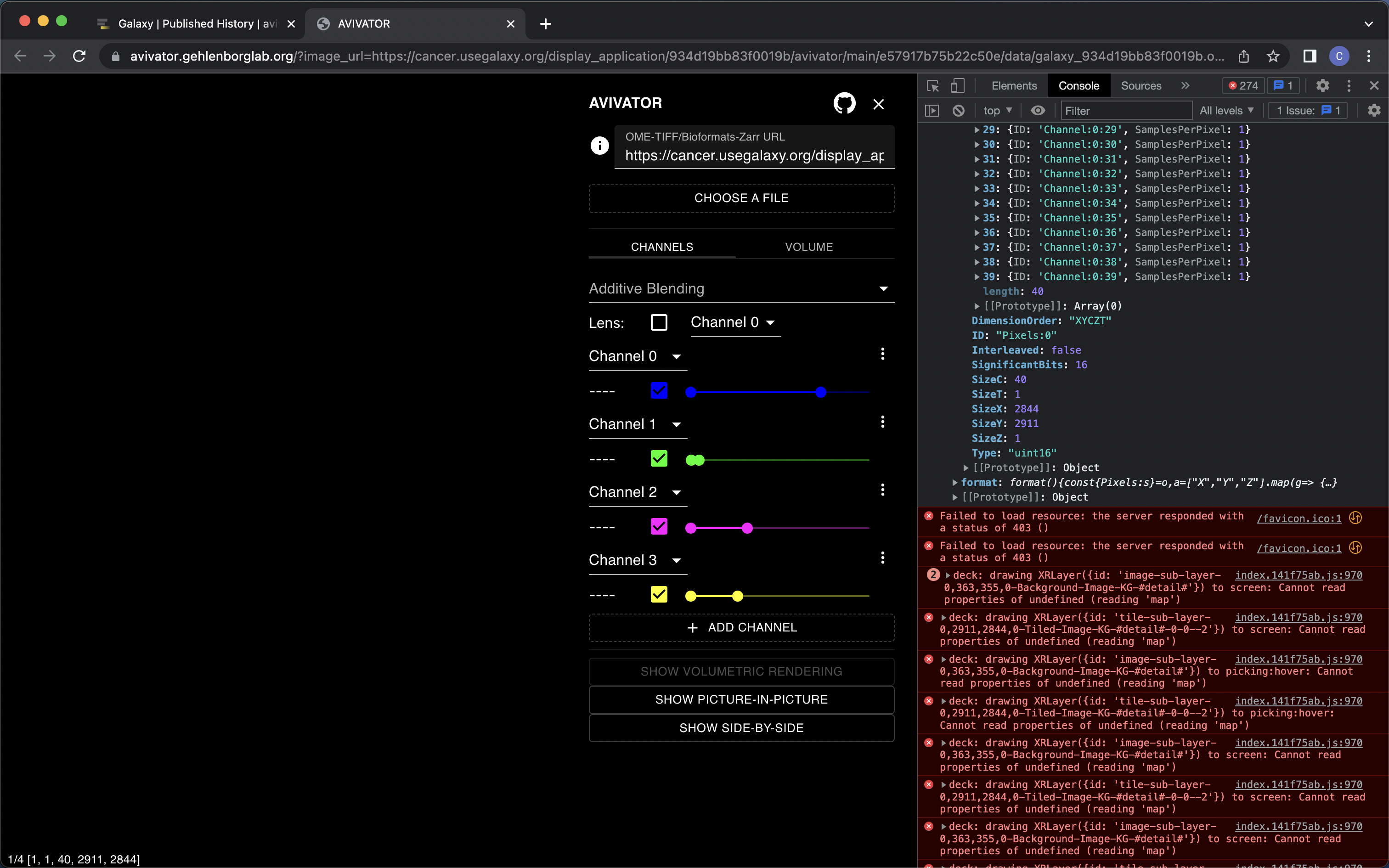 Avivator cannot render images with no channel Color attribute in metadata (as of release 0.13.4 ...