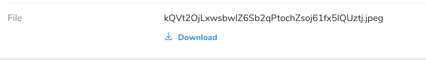 Download Link For File Fields Not Working In Firefox · Issue 933 · Laravelnova Issues · Github