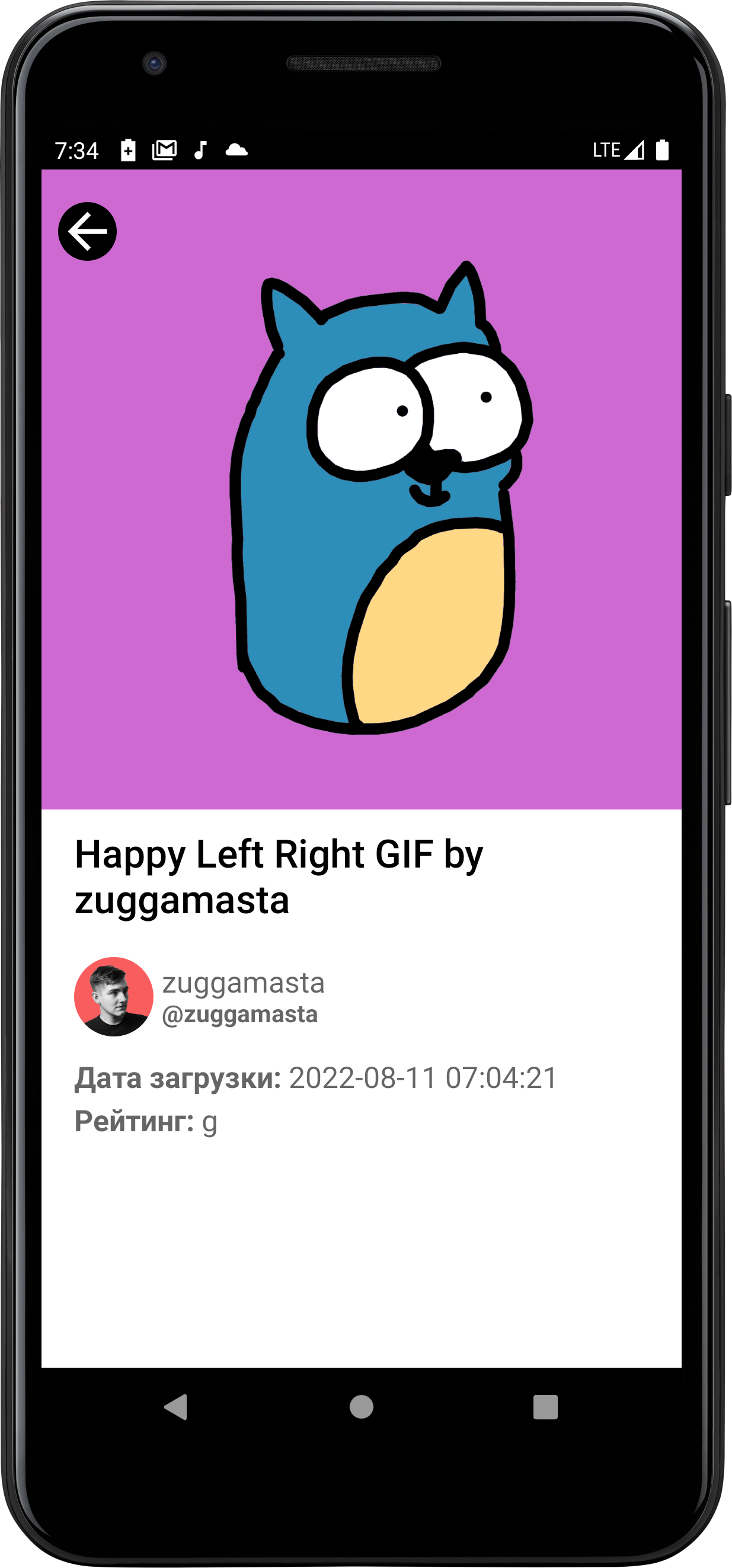 GitHub - Mike-Like11/GiphySearcher