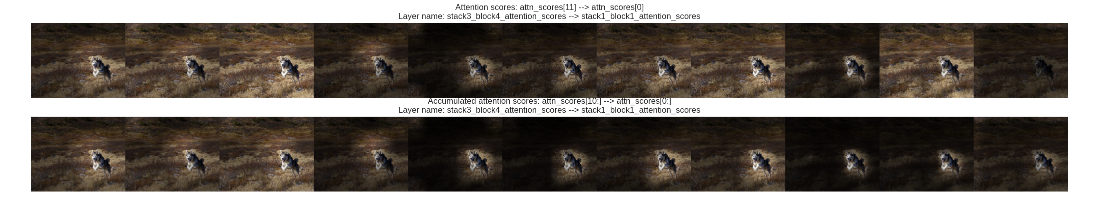 Visualize saliency map with the attention models · Issue #13 · leondgarse/keras_cv_attention ...