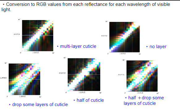 GitHub - masaya-dohino/Hair-rendering_NS-FDTD-BRDF_PBRT: Hair rendering with BRDF by NS-FDTD on PBRT