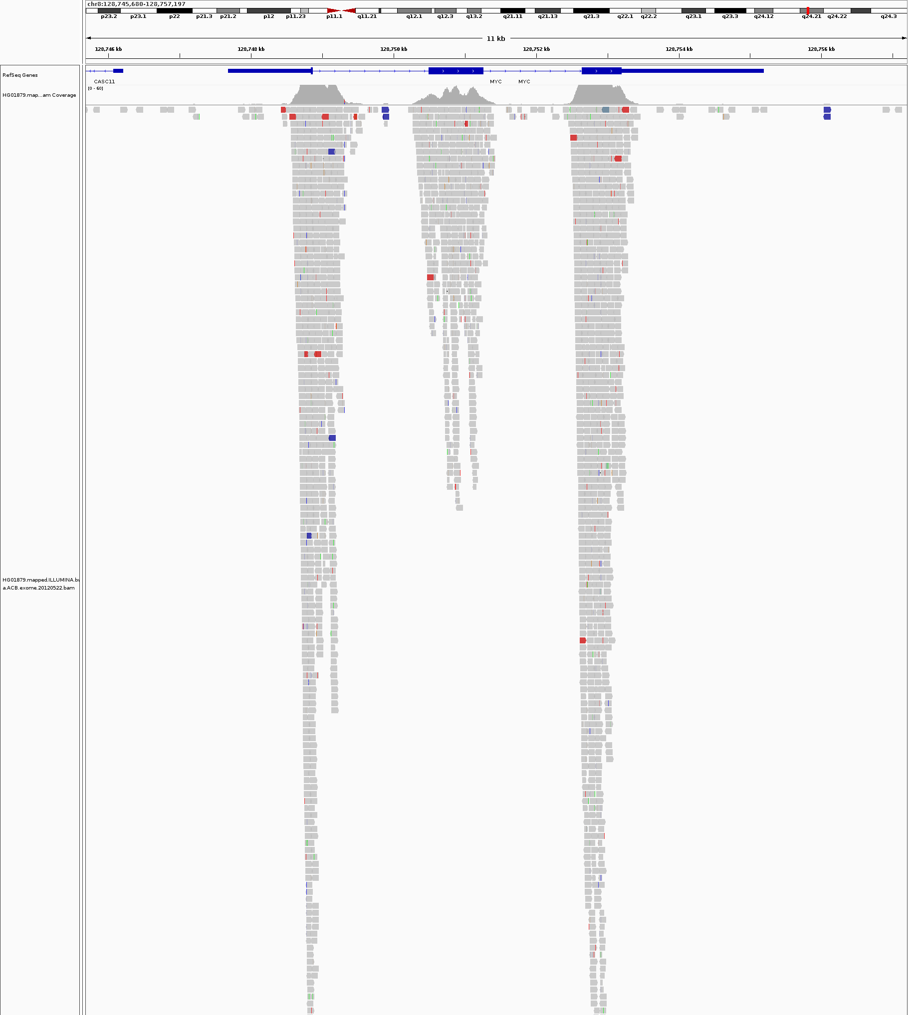 Unable to adjust image height via batch script · Issue #160 · igvteam/igv · GitHub