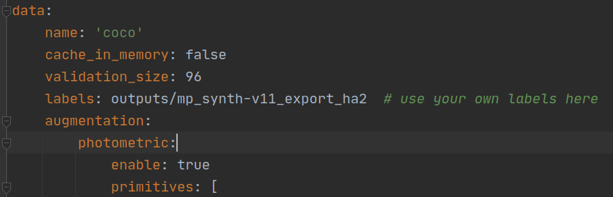 How to generate labels to fine-tune SuperPoint · Issue #204 · rpautrat/SuperPoint · GitHub