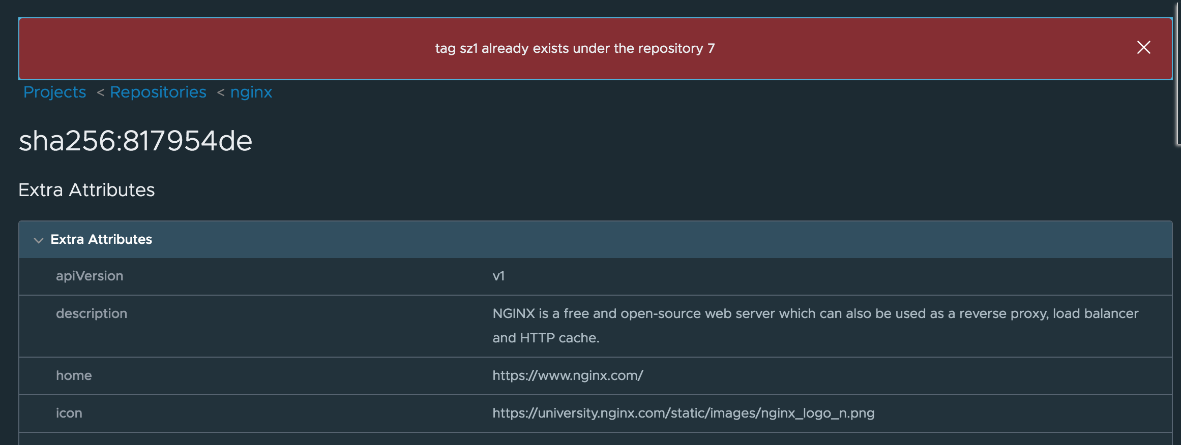 Message tips for creating duplicated tags under the repository is not ...