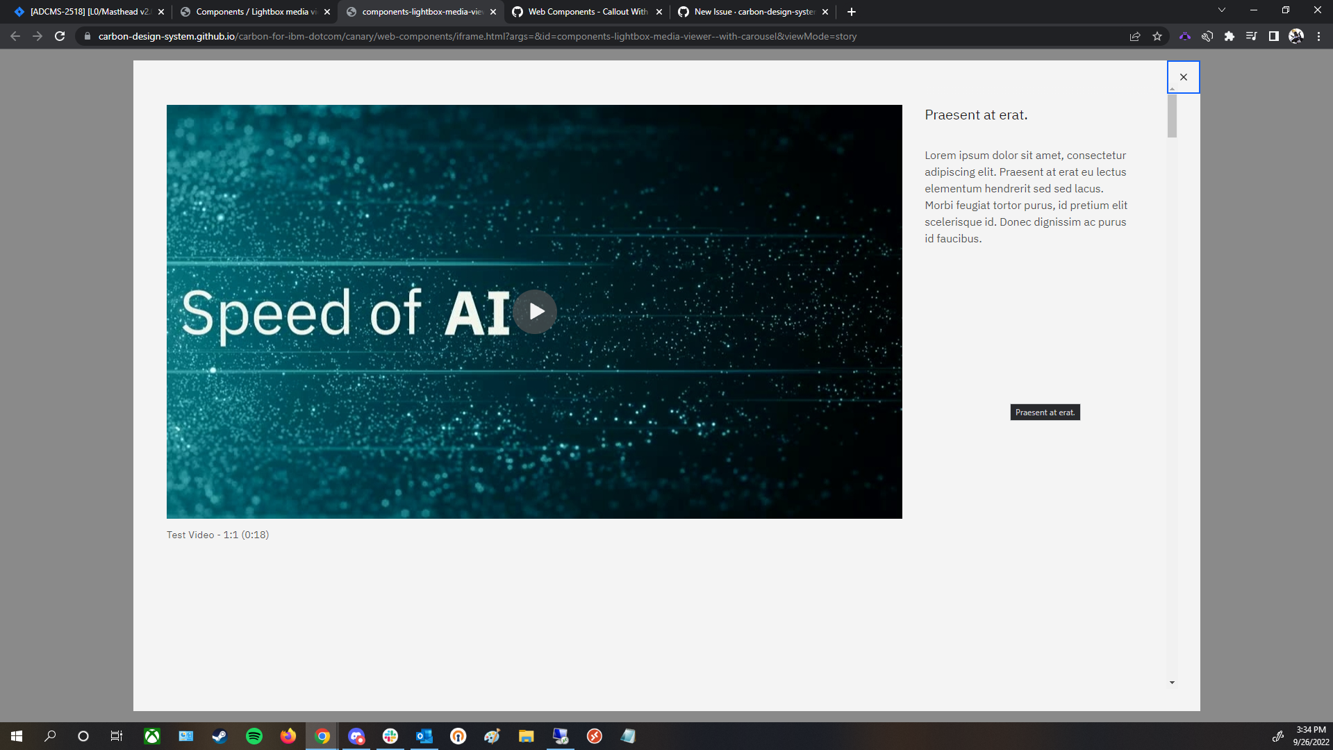 Web Components - Lightbox Media Viewer With Carousel not rendering as a carousel on all ...