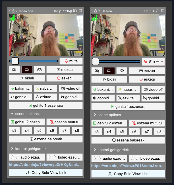 Bug in language settings · Issue #1084 · steveseguin/vdo.ninja · GitHub