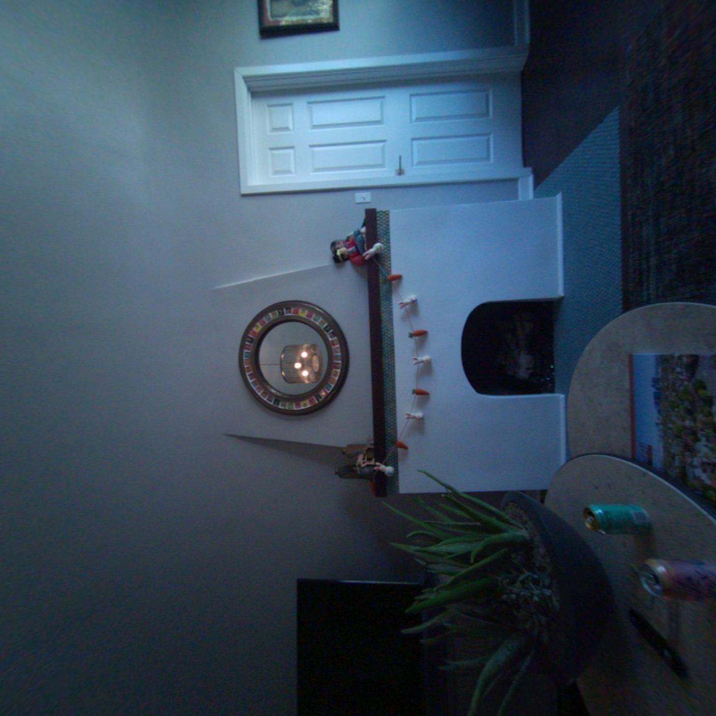 Parameters for camera-rgb · Issue #14 · facebookresearch/Aria_data_tools · GitHub