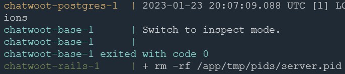 chatwoot-base container exits with only "switch to inspect mode" in logs · Issue #6335 ...