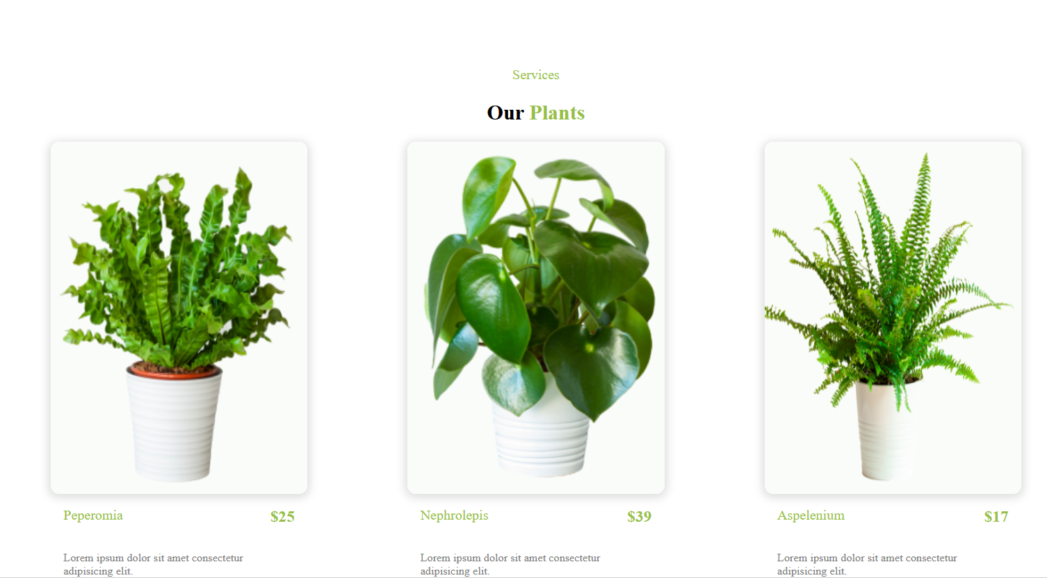 GitHub - bakiwebdev/mint: website for mint flower company/ built with ...