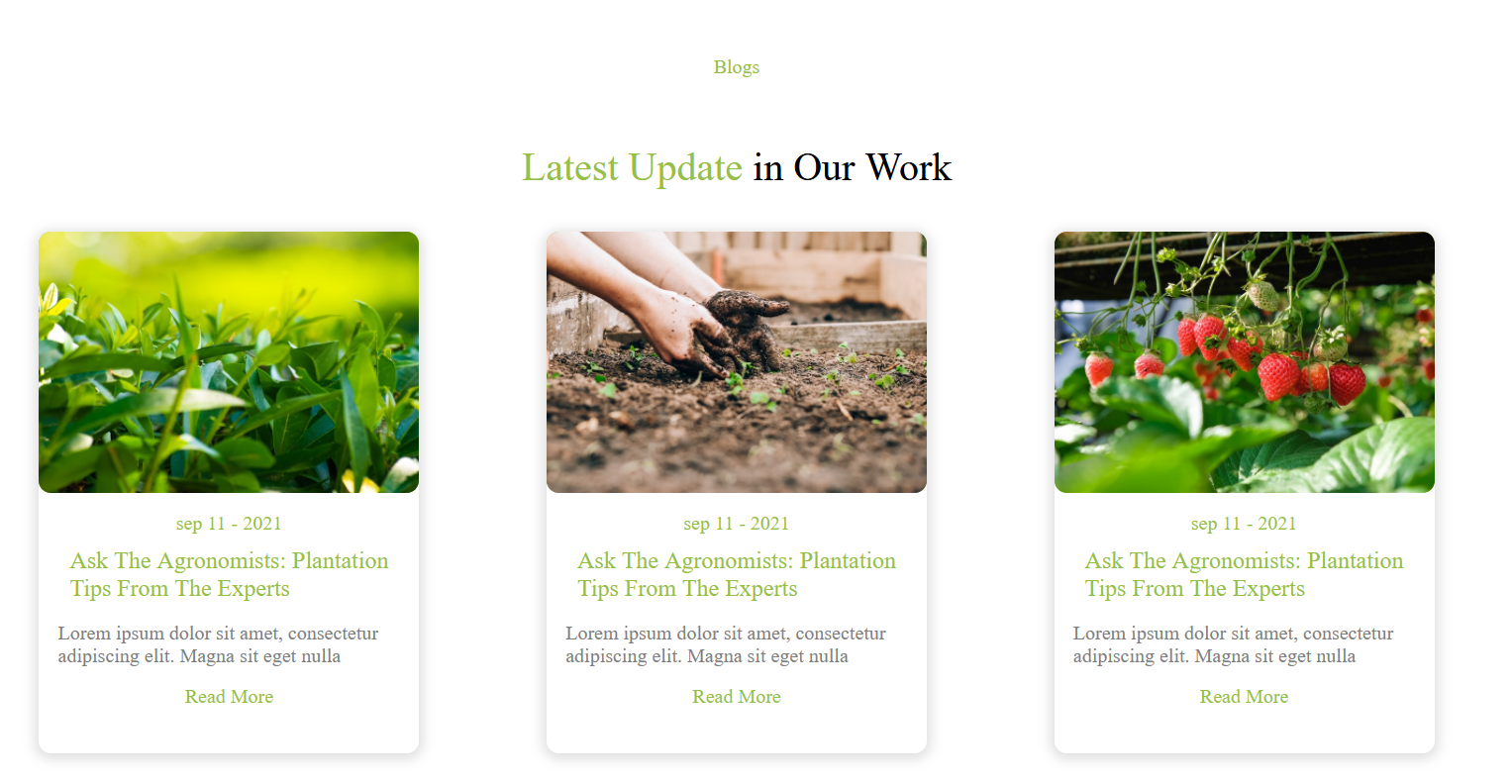 GitHub - bakiwebdev/mint: website for mint flower company/ built with pure HTML and CSS