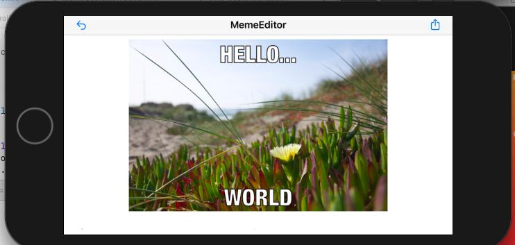GitHub - leemccormick/V2MemeMe: MemeMe Version2 Udacity Project.