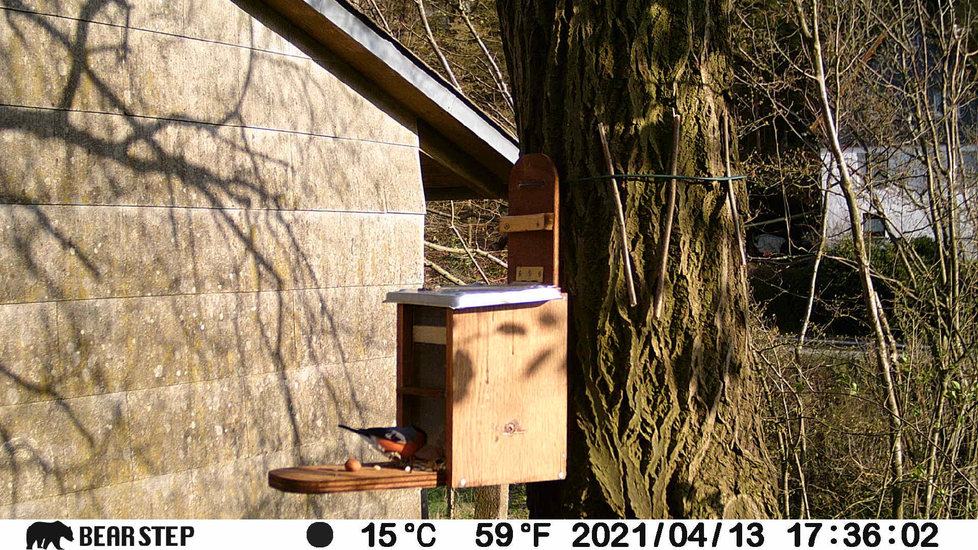 GitHub - Gimba/wild_cam_analysis: Tools to analyse data from wild life cameras