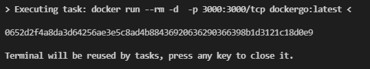Go app pops up a warning dialog "No valid ports are available" when opening the container in ...