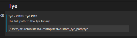 No Tye application is running in the Tye Application view after executing tye-run with setting ...