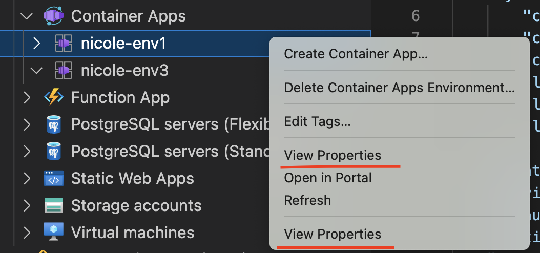 There Is A Duplicate View Properties Action For The Container Apps