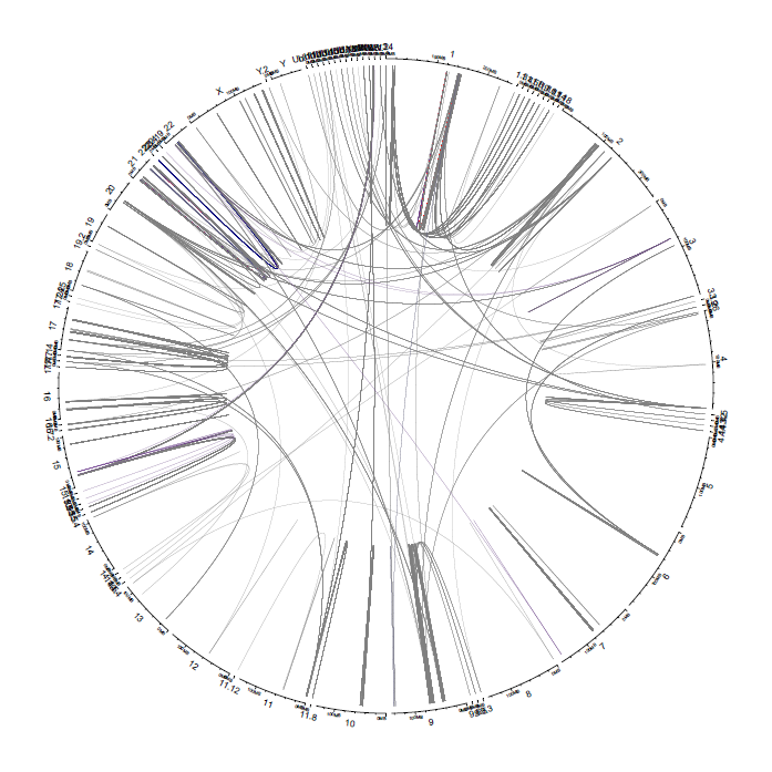 R circlize chordDiagram producing poor image quallity. · Issue #177 ...
