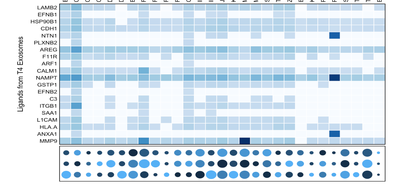 ggplot, annotation alignment and anno_blank · Issue #550 · jokergoo ...