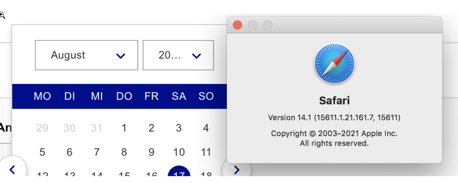 Datepicker year in dropdown is not completely displayed (Safari Desktop) · Issue #2176 · axa-ch ...
