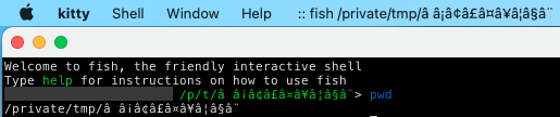 Path not decoded correctly in fish shell when launching kitty with Unicode path parameters from ...