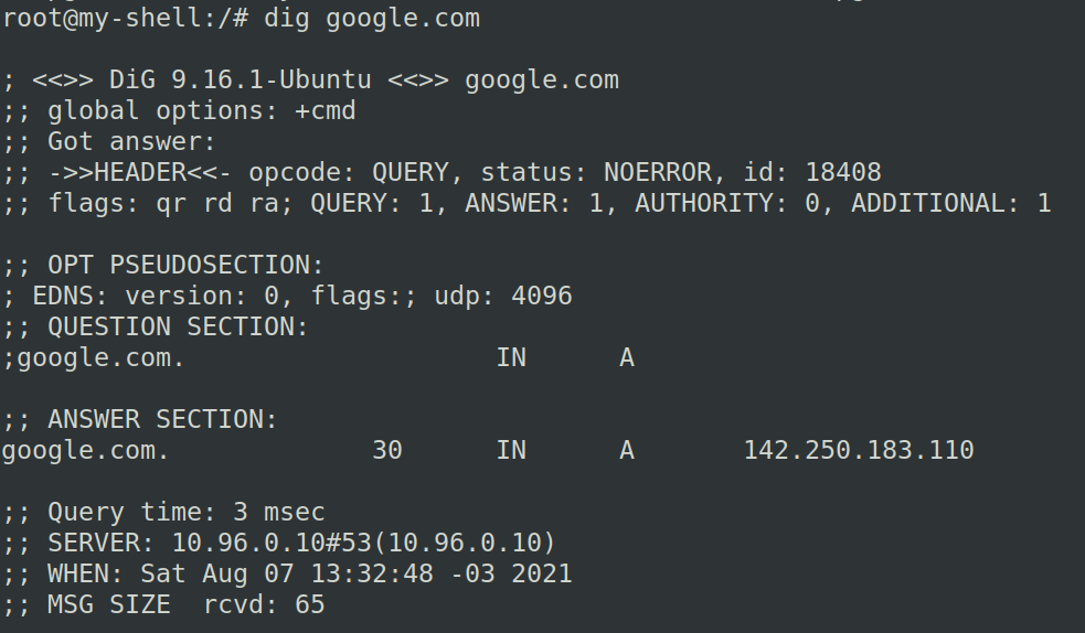 DNS resolution failed in DBless Kong · Issue #7588 · Kong/kong · GitHub