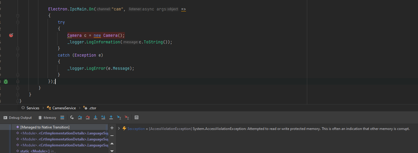 Application does start with net5.0 with low level or unmanaged c# libraries · Issue #605 ...