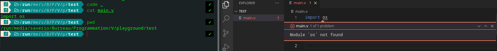 module not found for built-in module · Issue #161 · vlang/vls · GitHub