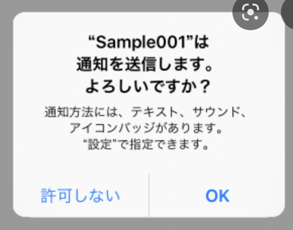 English Japanese Match App Language · Issue 912 · Baseflow Flutter Permission