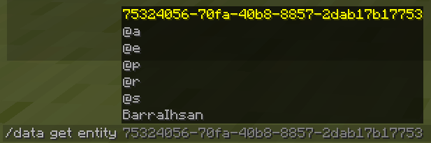 [Suggestion] UUID Autocomplete when looking at entity · Issue #241 · Earthcomputer ...