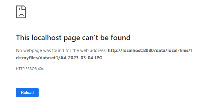 Images are not displayed when importing local tasks from JSON files · Issue #2086 · HumanSignal ...