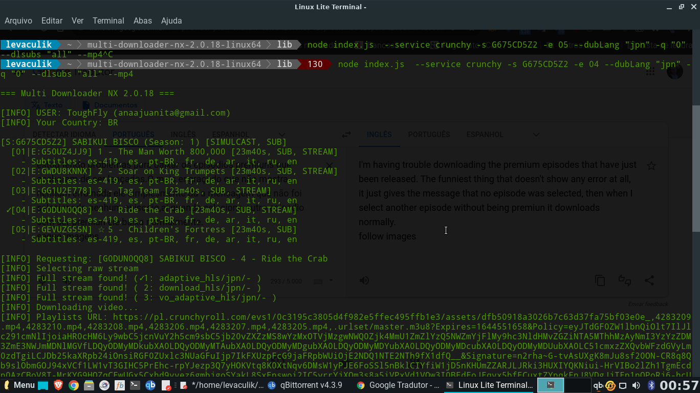error downloading premium episodes · Issue #248 · anidl/multi-downloader-nx · GitHub