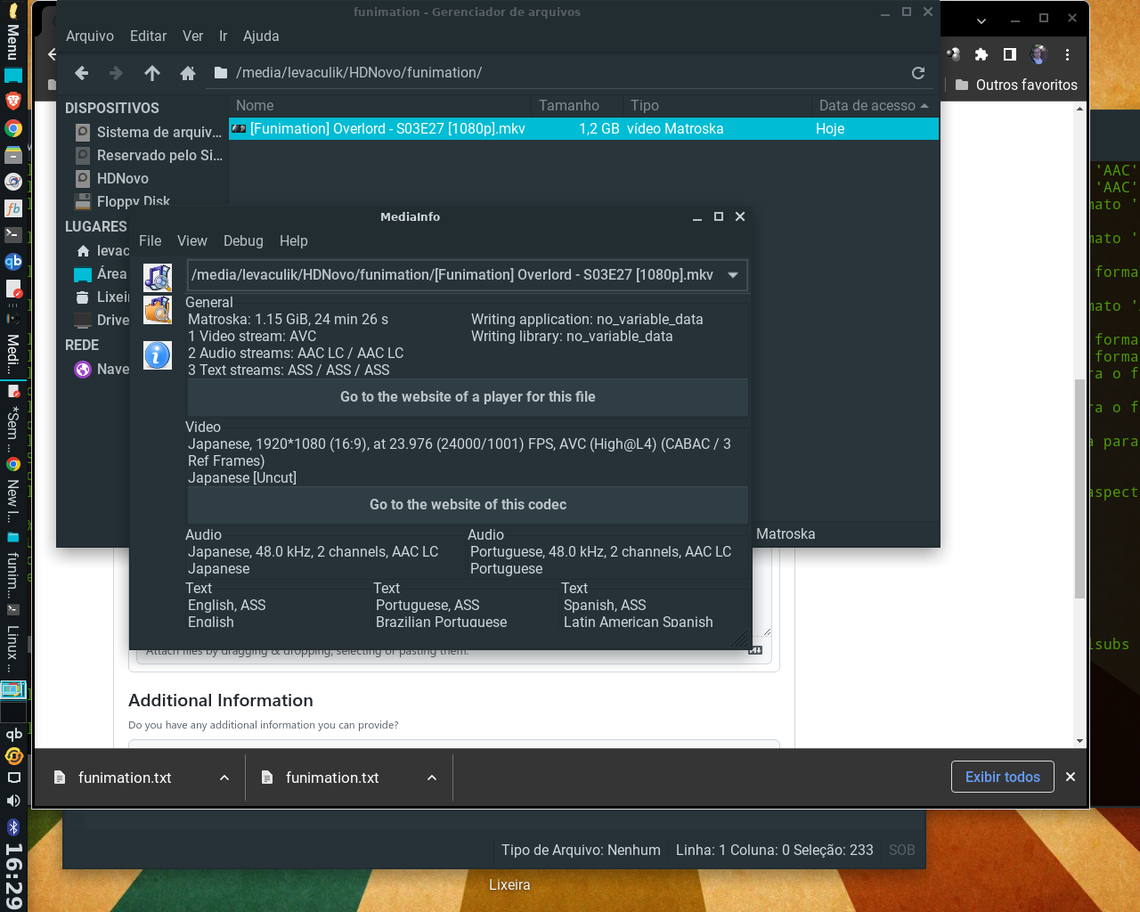 BUG - how to make portuguese audio first. · Issue #395 · anidl/multi-downloader-nx · GitHub