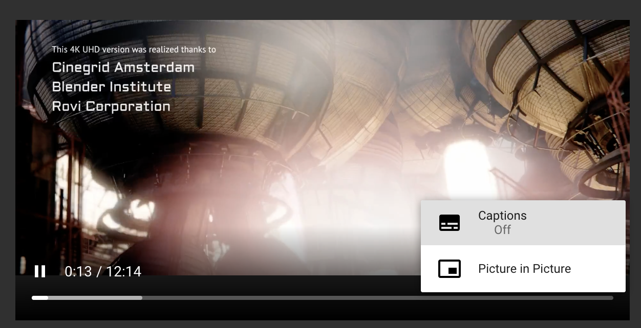 V1 regression: DEFAULT flag for subtitles / captions no-longer ...